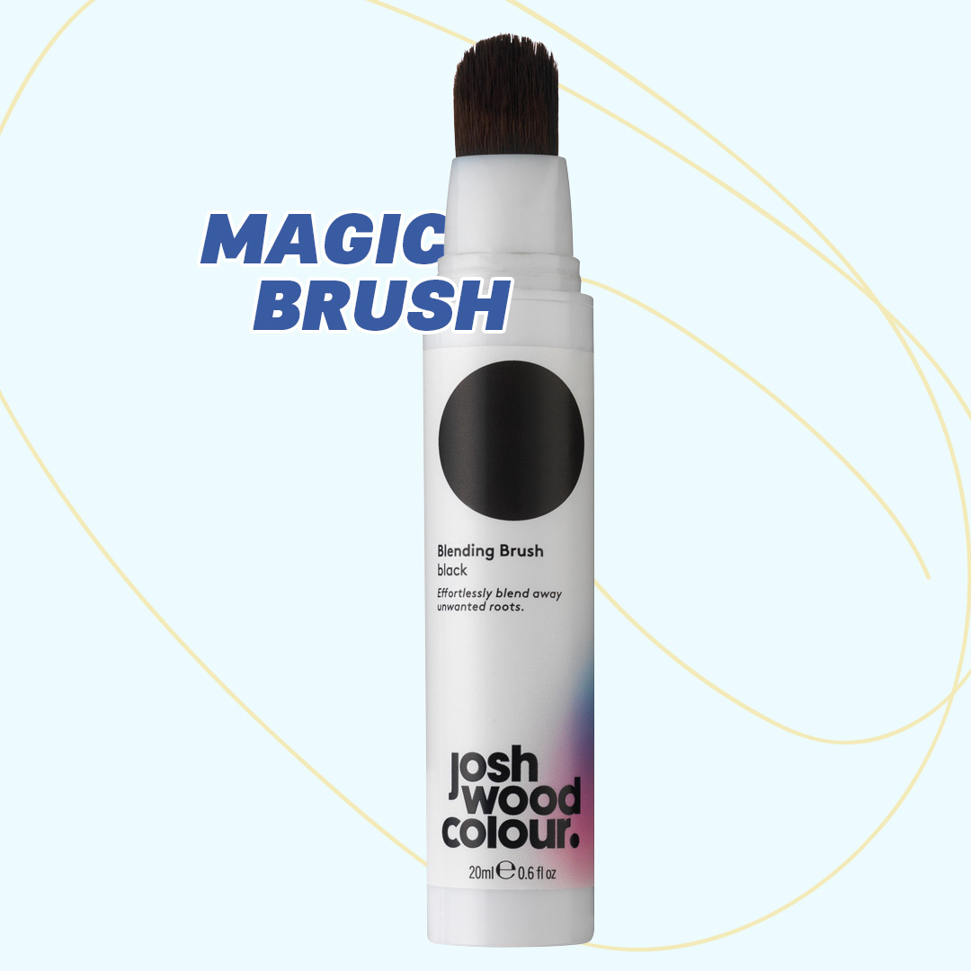 Magic brush - Spell Magazine