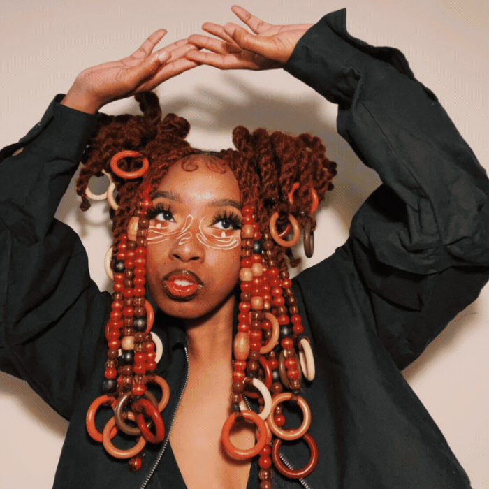 37 Beaded Braids Ideas To Transform Your Hair Game